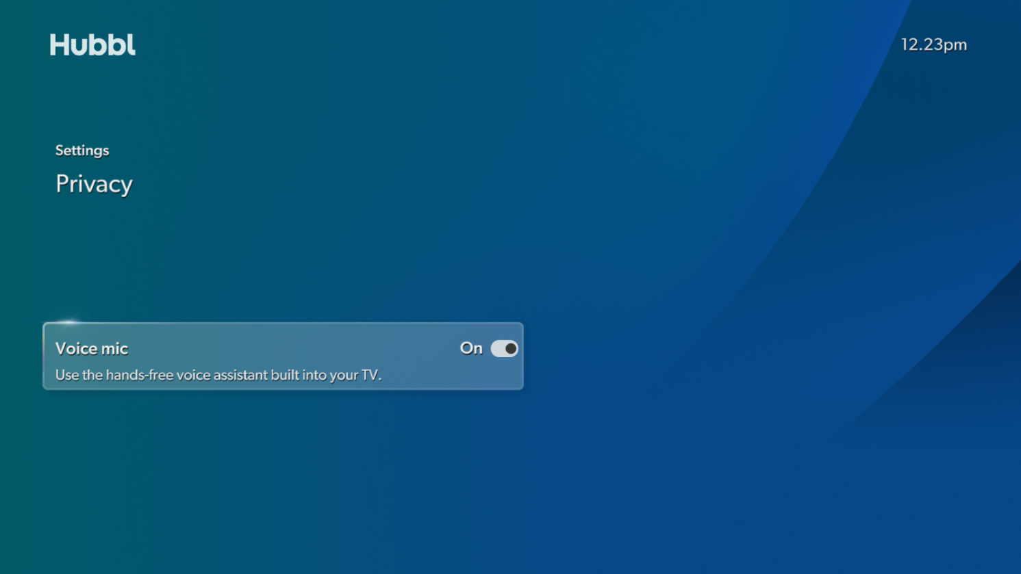 Issues with Voice Control